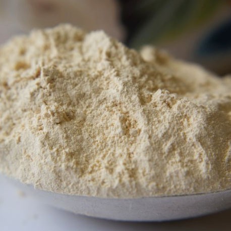 Ground Garlic – Shorjah Food Ltd